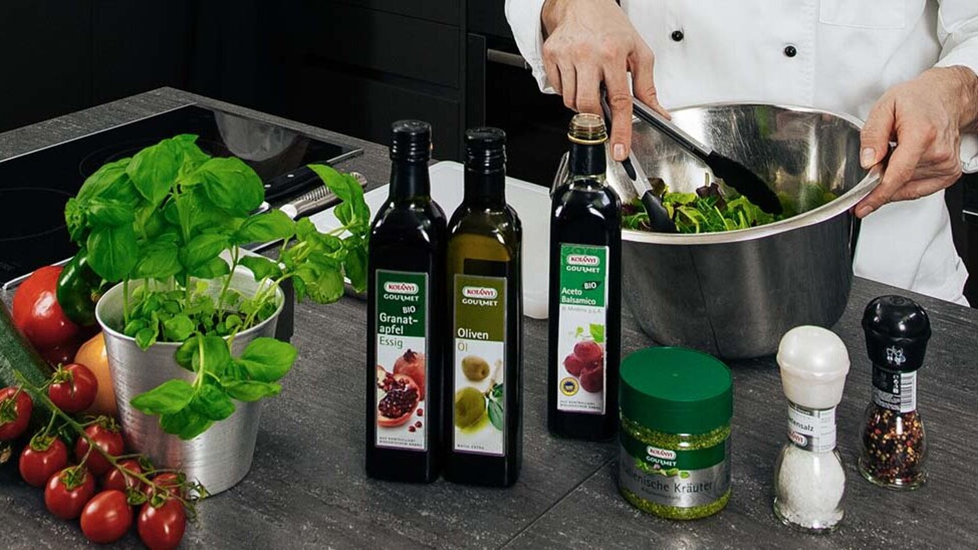 KOTÁNYI GmbH | INTERGAST